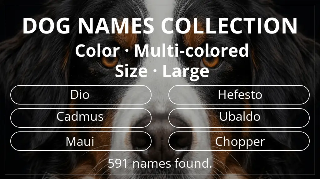 Dog Names | multi-colored, large | Find the Perfect Name