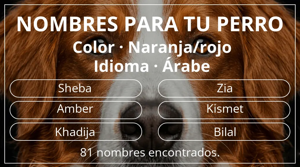 Nombres de perro | naranja/rojo, árabe | El nombre perfecto