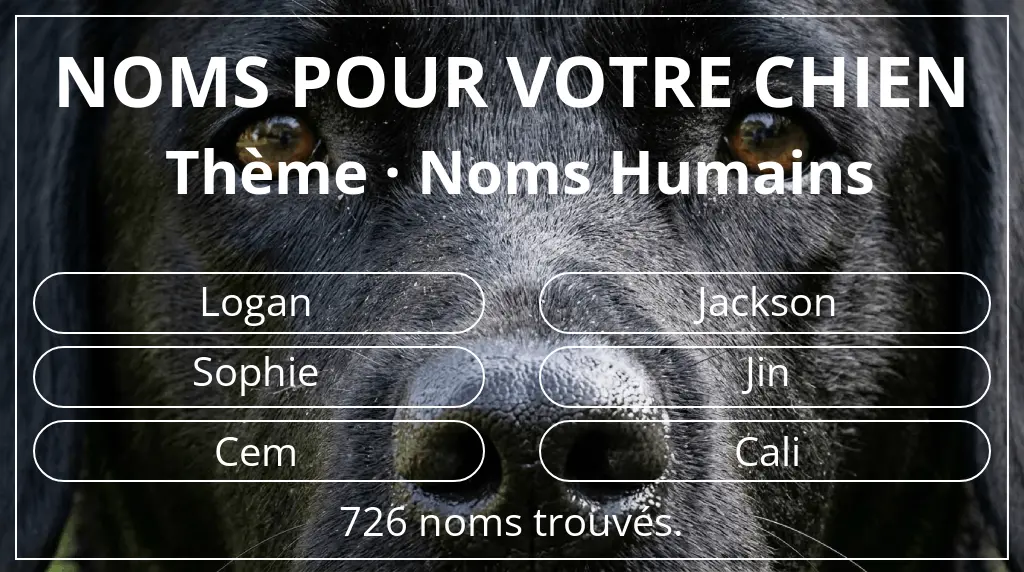 Noms de chiens | noms humains | Trouvez le nom parfait