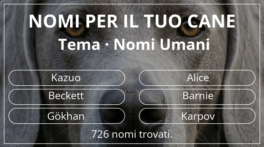 Nomi per cani | nomi umani | Trova il nome perfetto